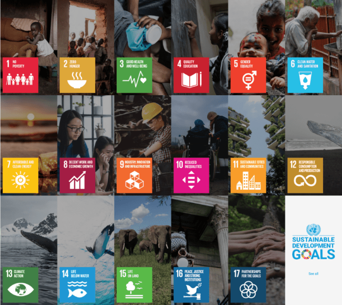 UN 2030 Sustainable Development Goals