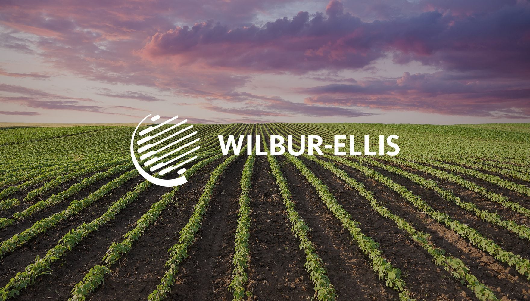 Wilbur-Ellis: Businesses | Wilbur-Ellis Corporate