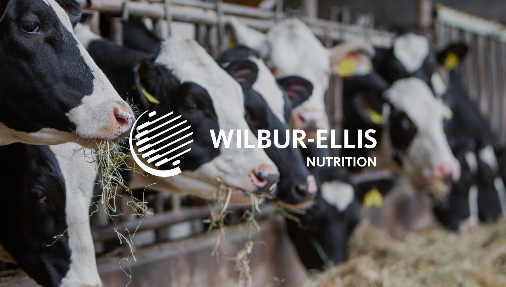 Wilbur-Ellis Corporate