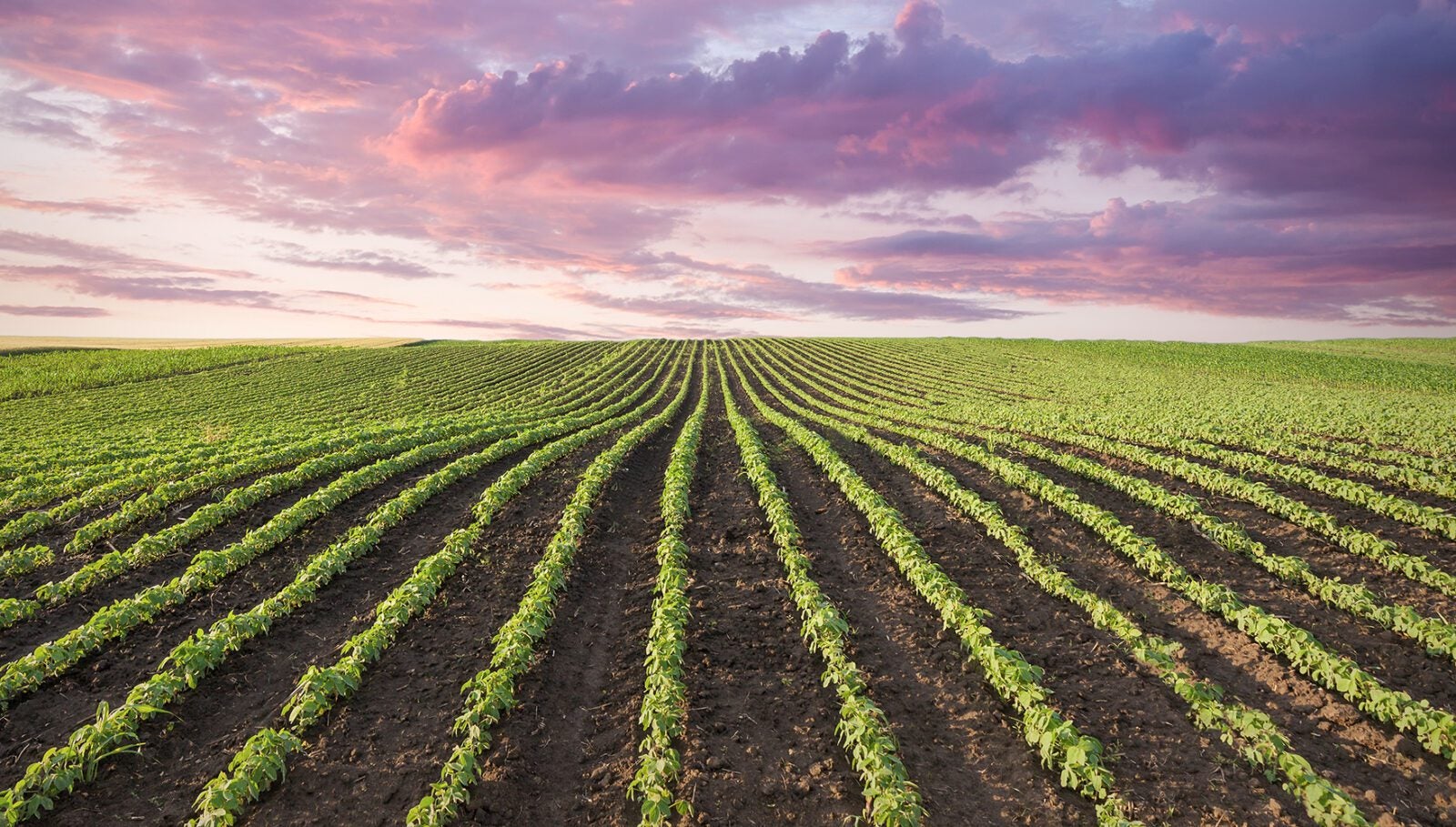 Wilbur-Ellis: About Us | Wilbur-Ellis Corporate