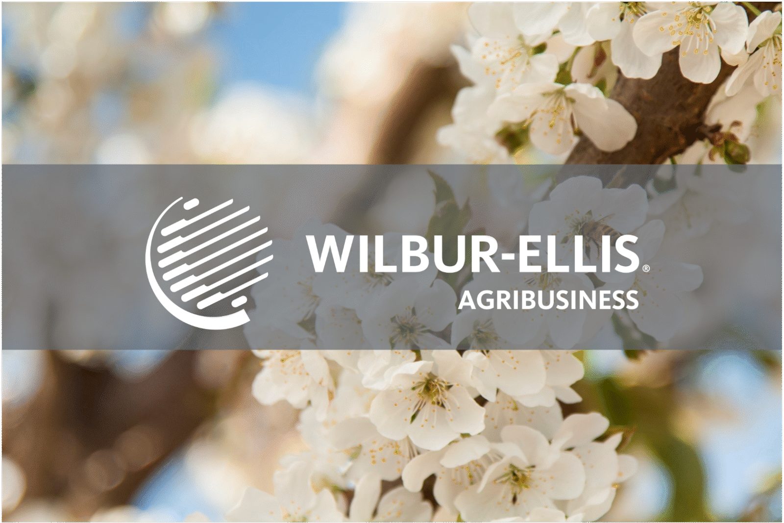 Wilbur-Ellis: About Us | Wilbur-Ellis Corporate